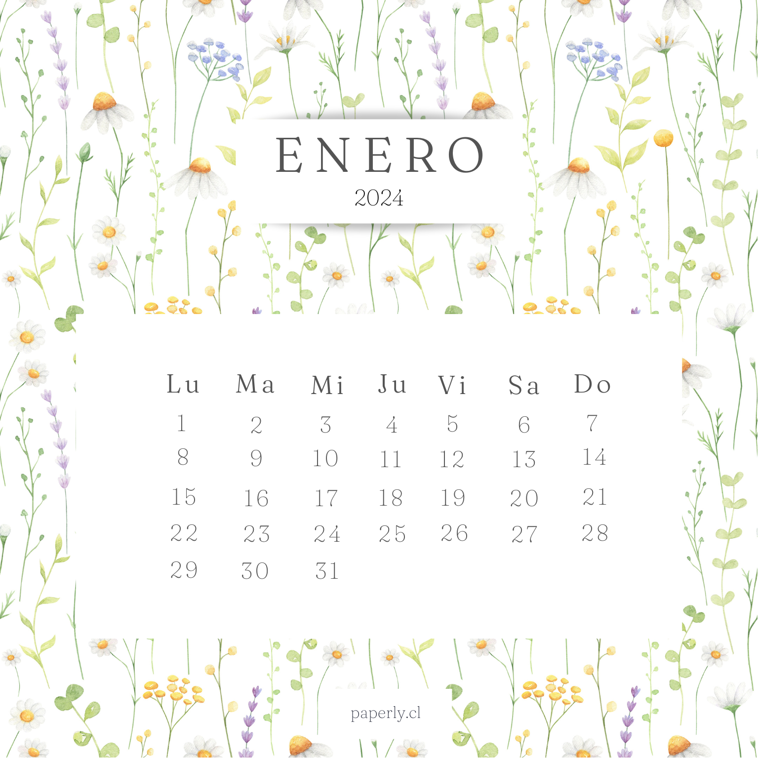 Tarjetas Calendario 2024 – Paperly