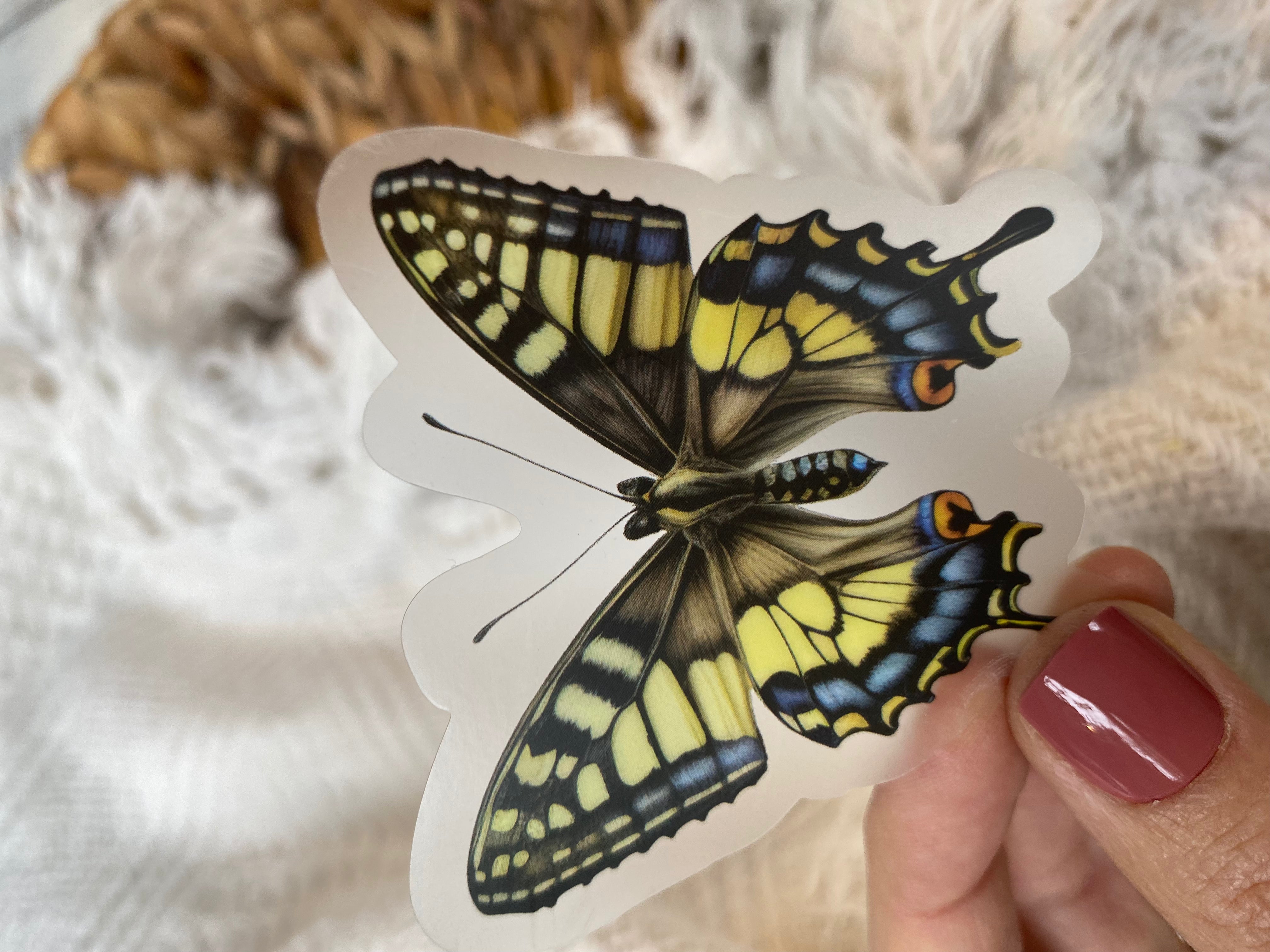 Sticker Vinilo Transparente – Paperly
